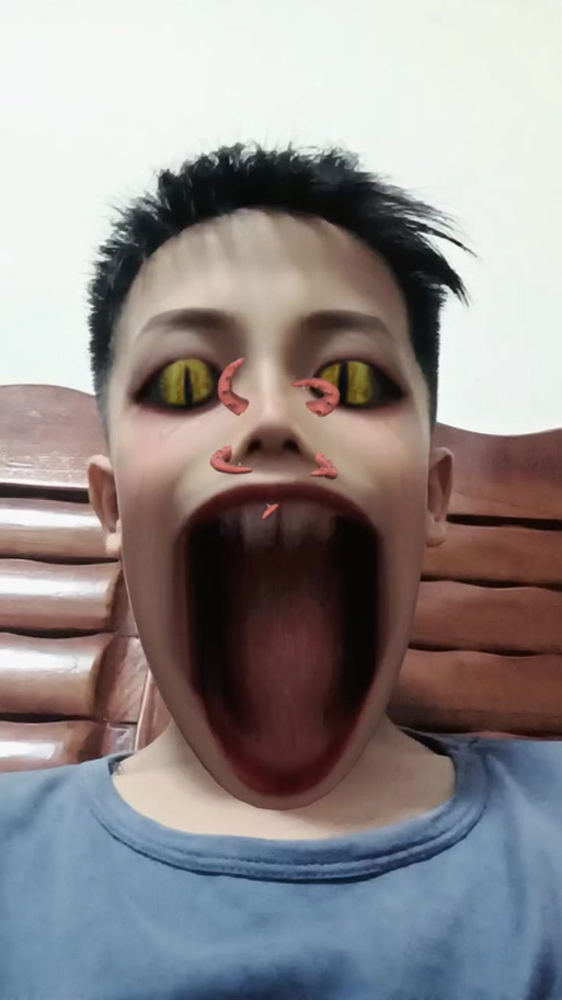 剪映脸部追踪特效