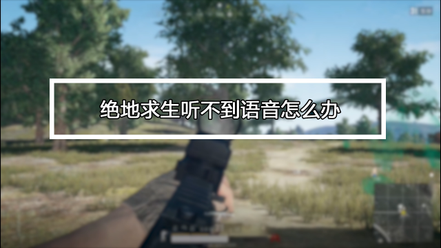 pubg听不到队友语音没喇叭截图