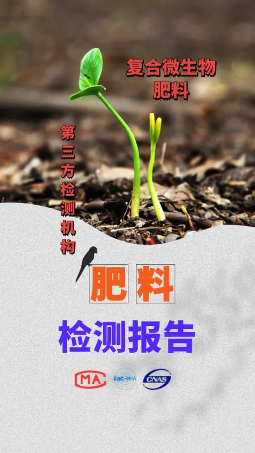 白盒测试是功能测试吗图标