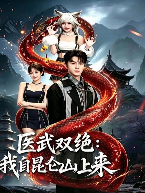 极品医武双绝图标