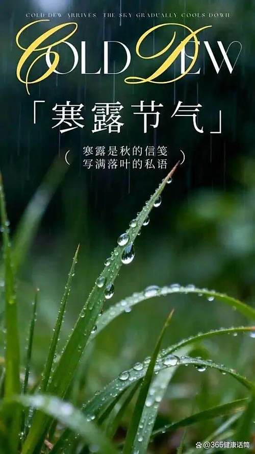描写寒露的优美句子