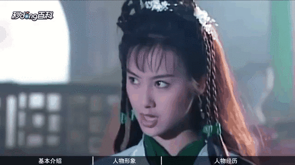 神雕外传之黄蓉系列小说内容图标
