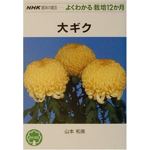 大竺葵图标