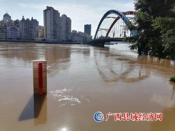 梧州今日水位实时查询图标