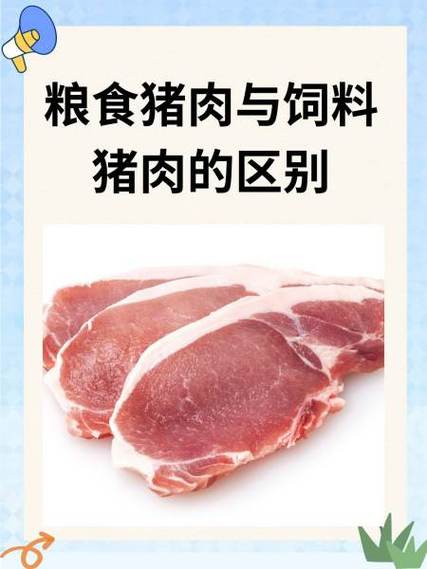 饲料猪肉和粮食肉区别图标