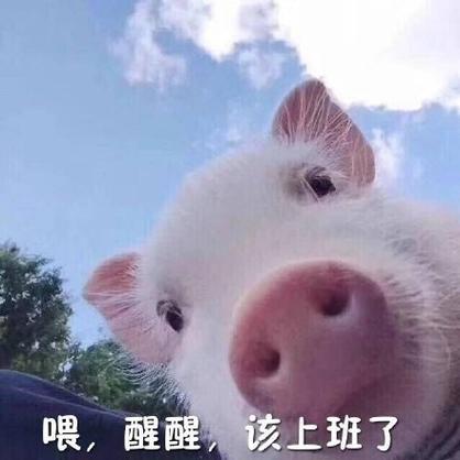 醒醒图片 表情包图标