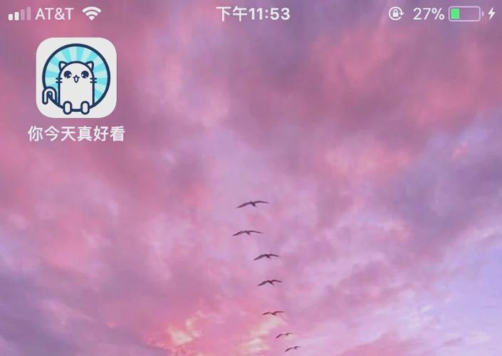 测试脸部皮肤的软件叫什么截图
