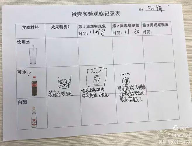 泡泡实验记录与结果图标