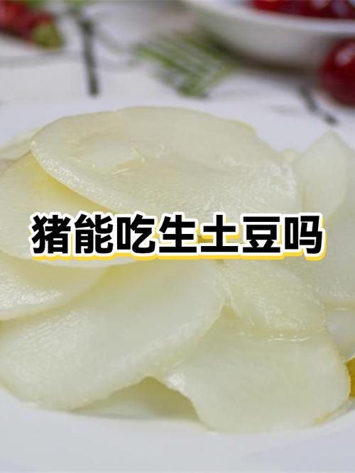 猪可以吃煮熟的土豆吗图标