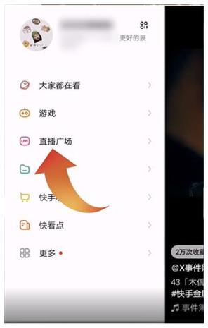 快手静音在哪里设置截图