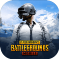 pubg(国际服)地铁逃生模式下载安装下载图标