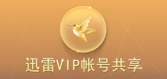迅雷vip破解版 安卓图标