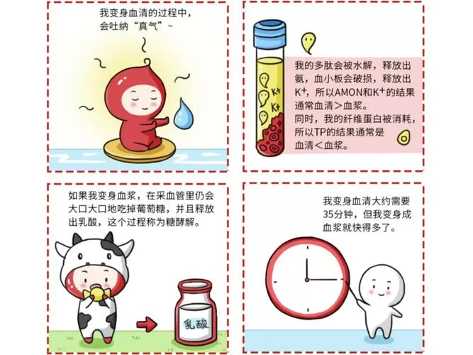 打血清多少钱一针 (被猫抓了打血清多少钱一针)图标
