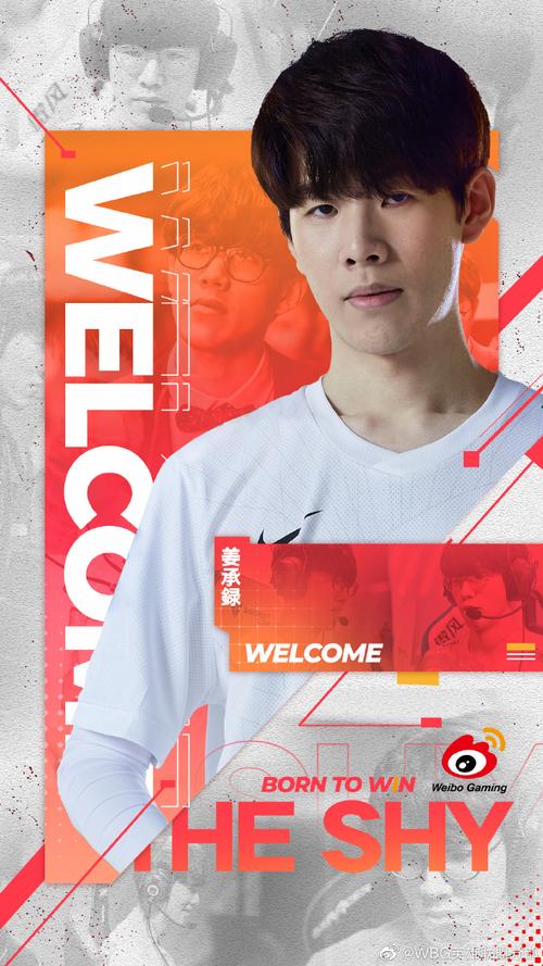 theshy简介截图