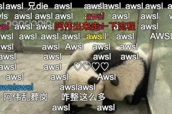awsl