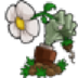 植物大战僵尸1修改器下载安装-植物大战僵尸1修改器缩略图