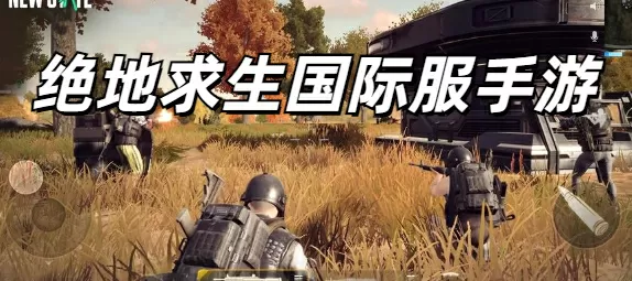 绝地求生国际服手游下载-绝地求生国际服手游图标