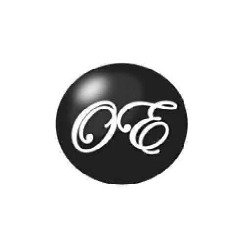 oe图标