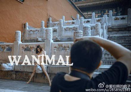 wannimal截图