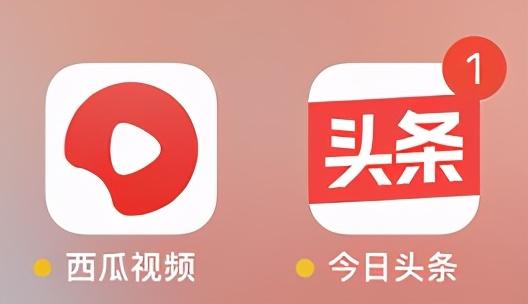 西瓜视频app安装官方版丹参和党参区别
