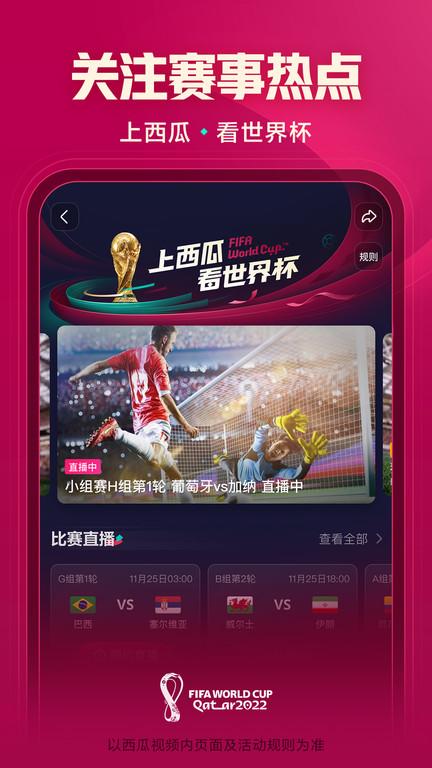 西瓜视频桌面安装装到桌面截图