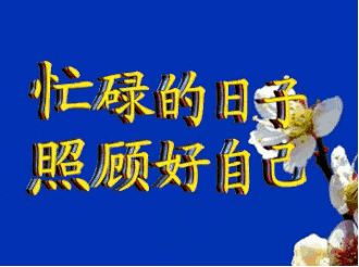 微信老年表情包动图