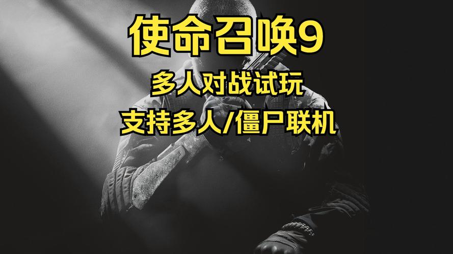 使命召唤9联机教程截图