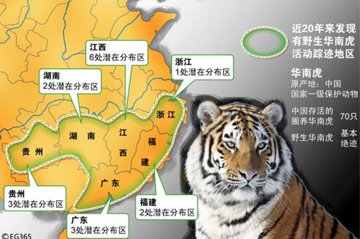 手机老虎地图截图