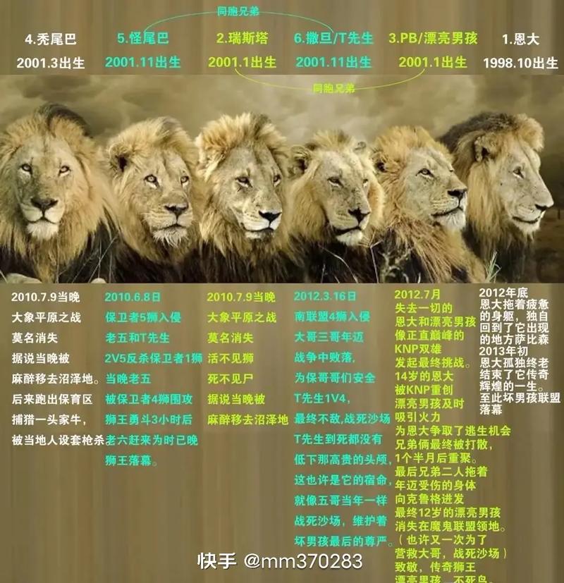 坏男孩软件图标