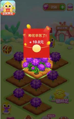 全民养花钱