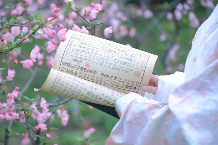 海棠看书-自由的小说搜索网站!口袋搜书图标