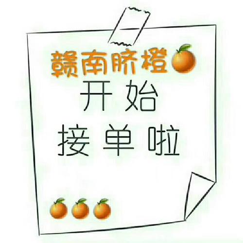 橘子接单打字软件截图