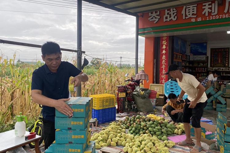 口袋果园玩法截图