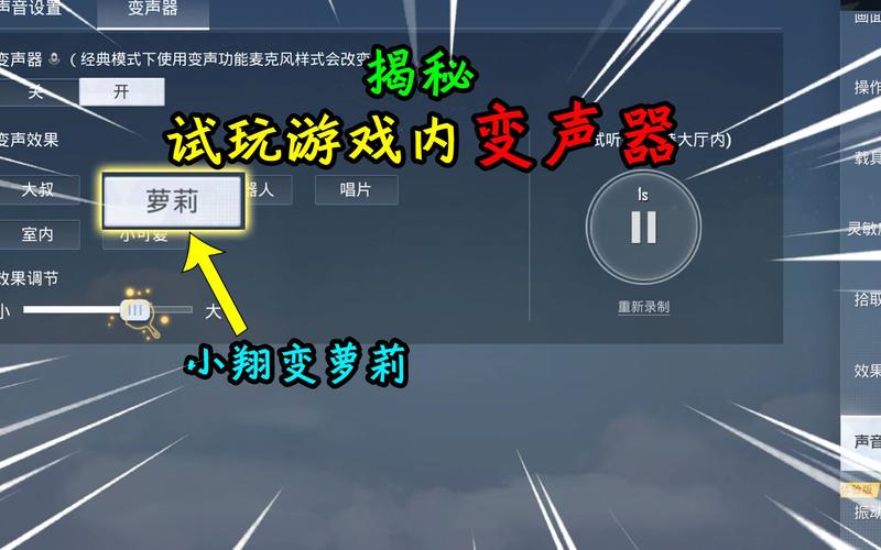 和平精英变声器?图标