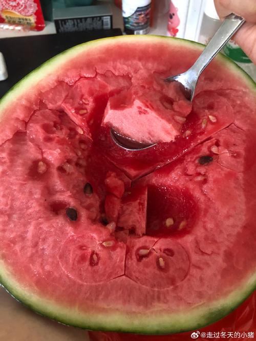 西瓜头条怎么发视频有收益图标