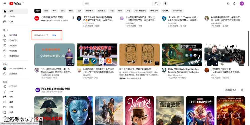 油管youtube官网入口下载安卓图标