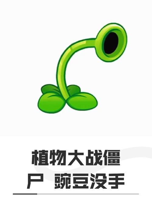 豌豆直装V2下载图标