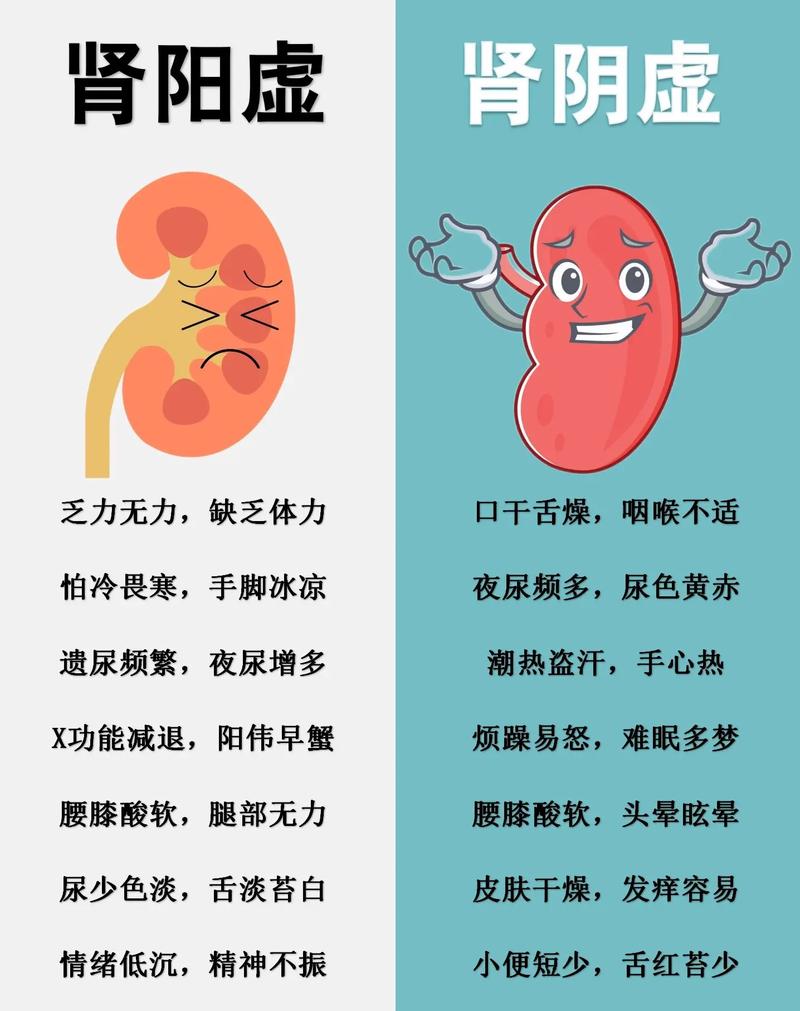 三分钟就完事了是不是肾虚