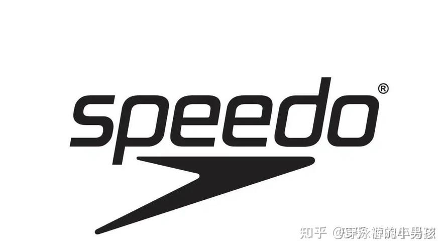 speed官网下载截图