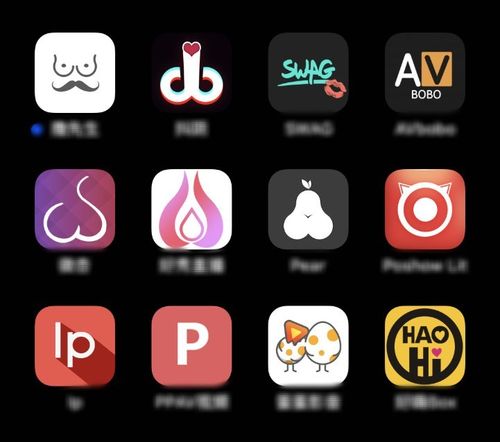 黄色情网站应用下载图标