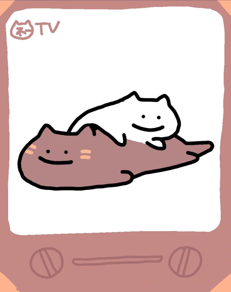 8769.TV小猫图标