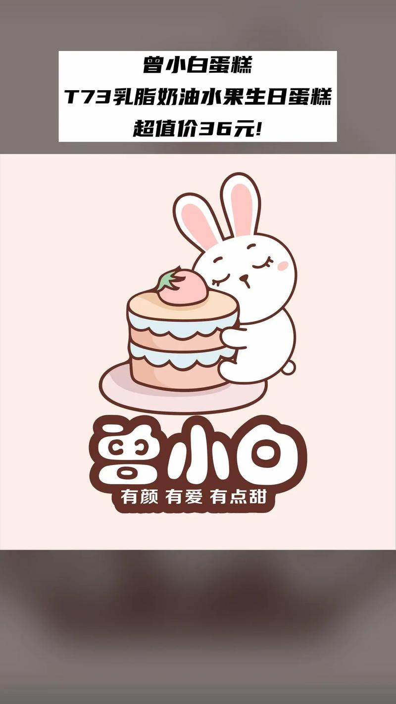 小白直装v2图标