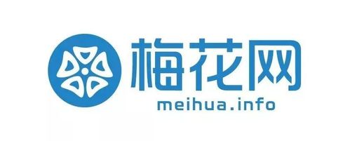 梅花网视频素材图标