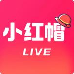 小红帽直播网页版图标