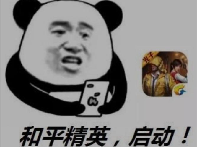 hz888top 和平精英图标