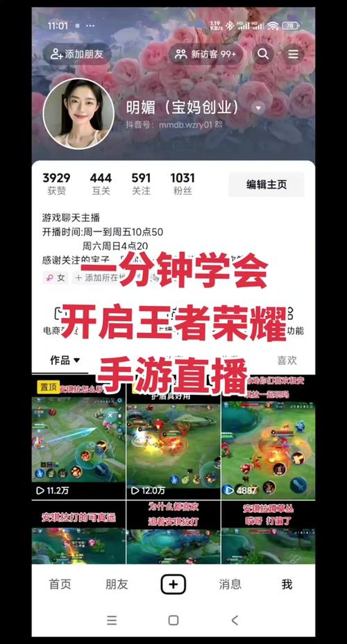 王者荣耀修改帧率的软件
