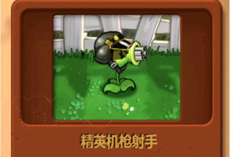 植物大战僵尸GA版支线