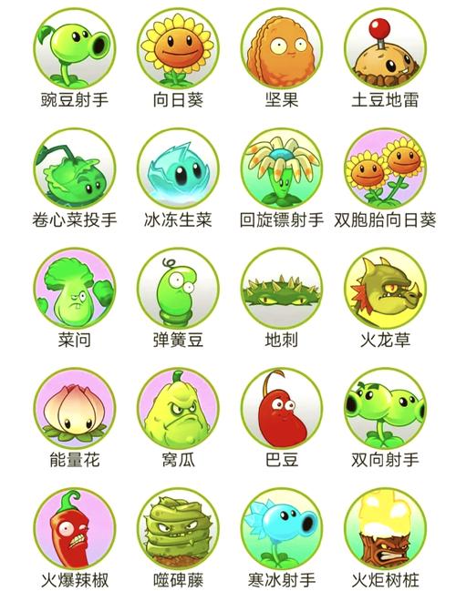 疯狂植物大战僵尸双人版截图