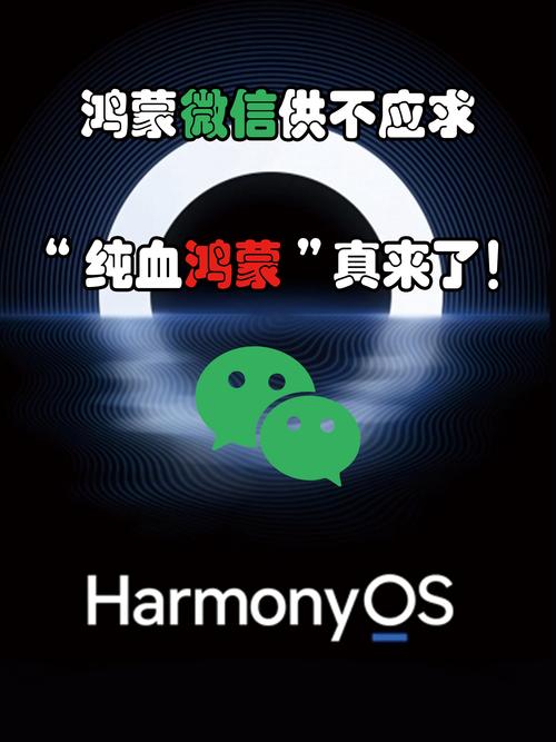 纯血鸿蒙不支持的软件怎么办