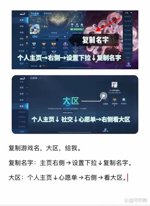 查王者隐藏战绩软件图标